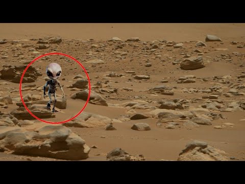 NASA Mars Perseverance Rover Released New 4k Video | Live Mars Footage ...