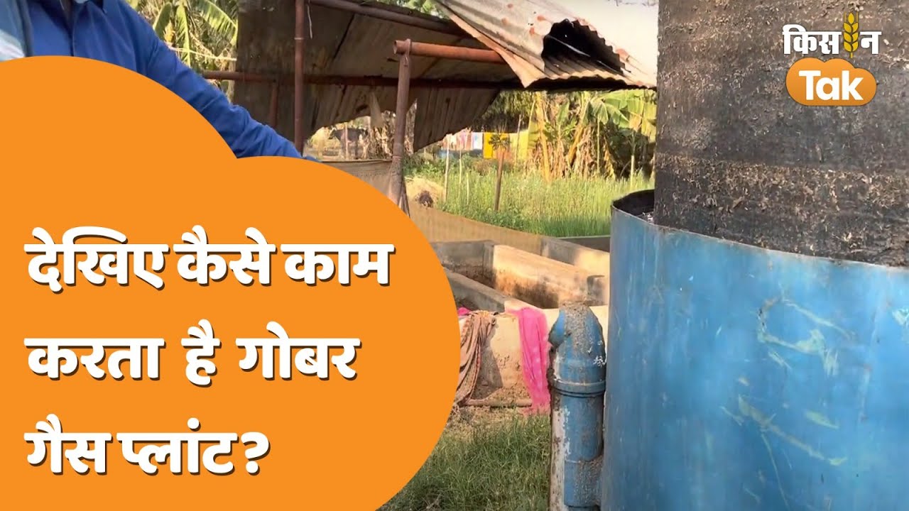 Gobar Gas Plant: कैसे बनती है बायोगैस, इस वीडियो में देखें गोबर गैस ...