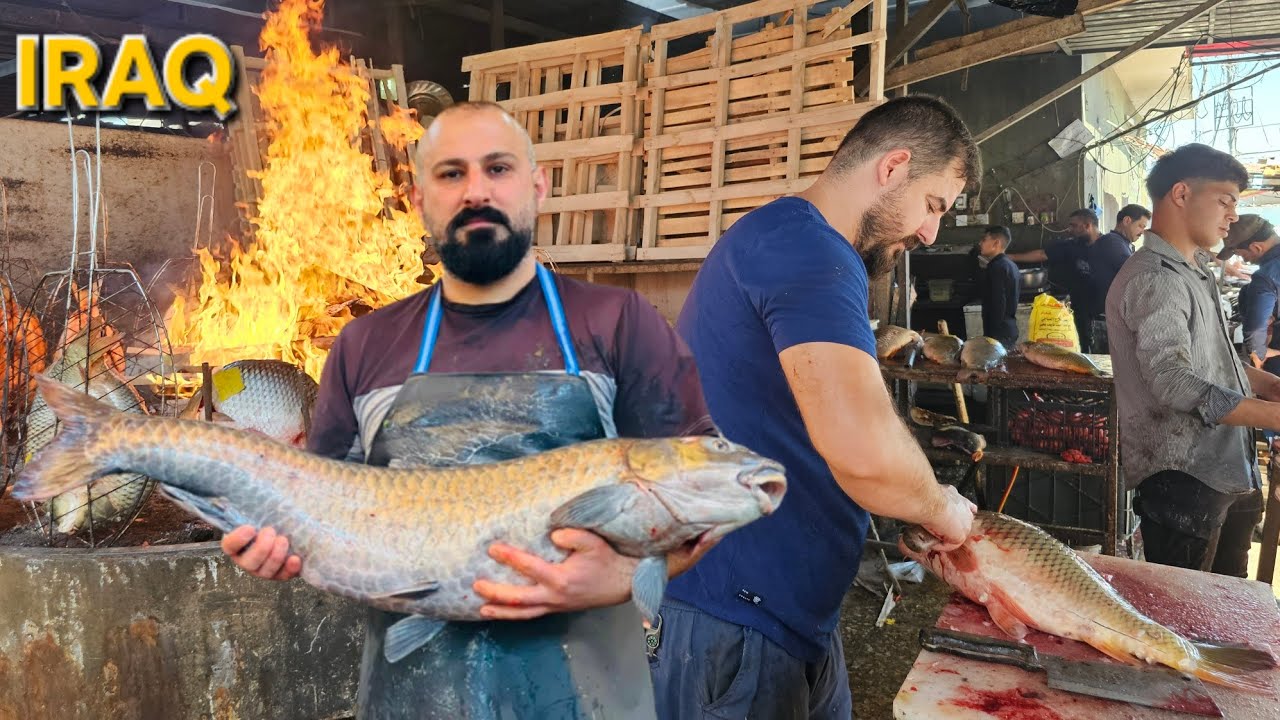 Street food | The largest fish market in Iraq | How to make Masgouf ...