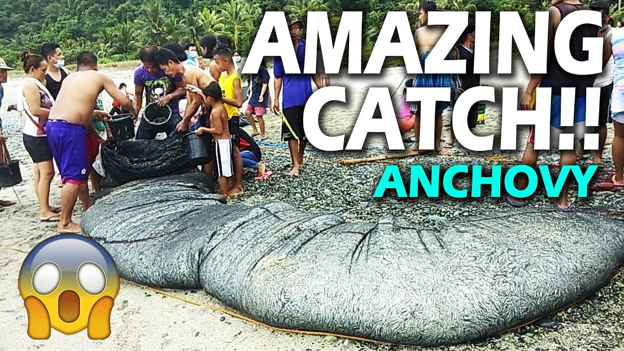 DILIS SA DAKLIS(Pukot) Philippine Traditional Fishing! - YouTube