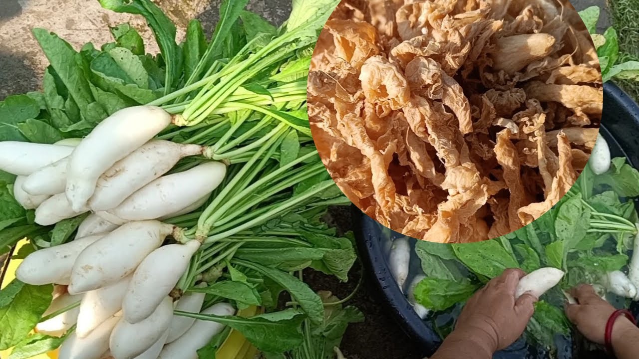 मुलाको सिन्की (Sinki) , fermented radish, delicacy of cold season, in ...