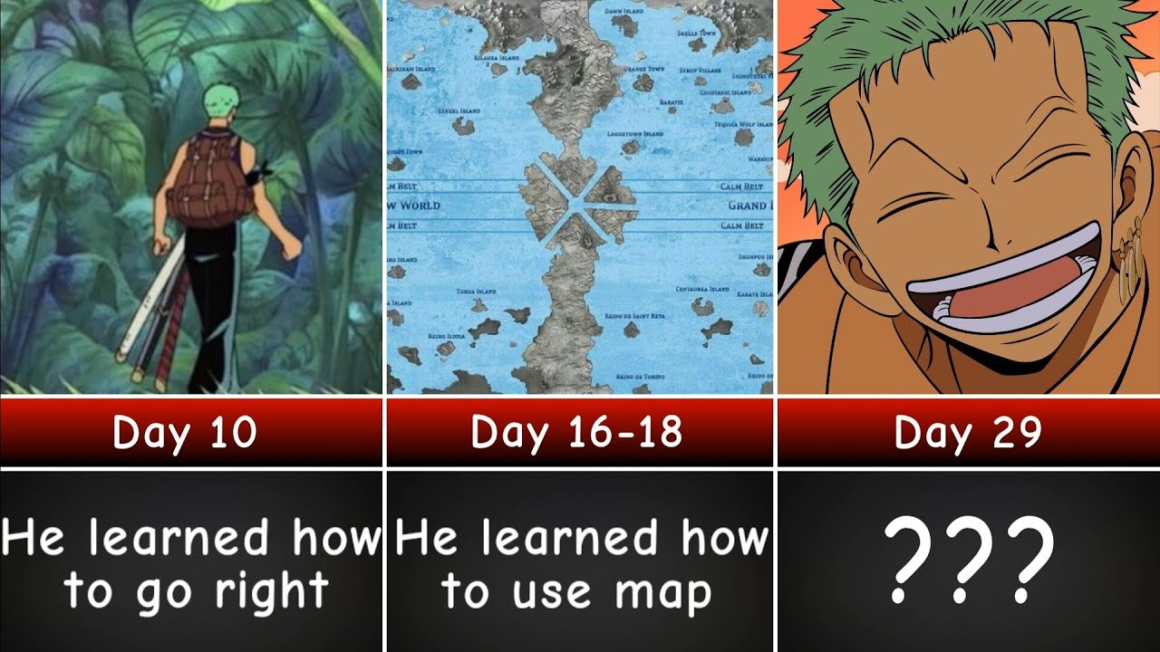 What if Zoro learned navigation for 30 days - YouTube