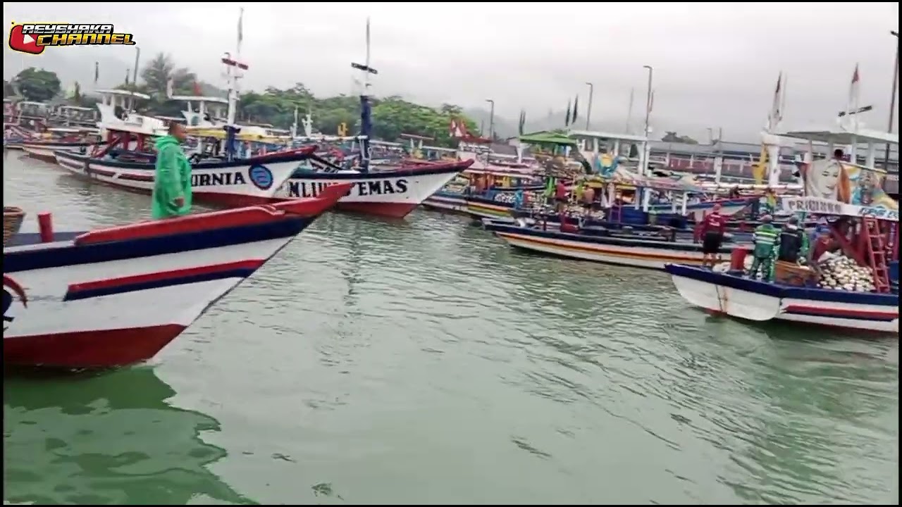 IKAN MAHAL NI BOSS || SEMANGAT PARA ABK PANEN IKAN SEMAR/MENOT - YouTube