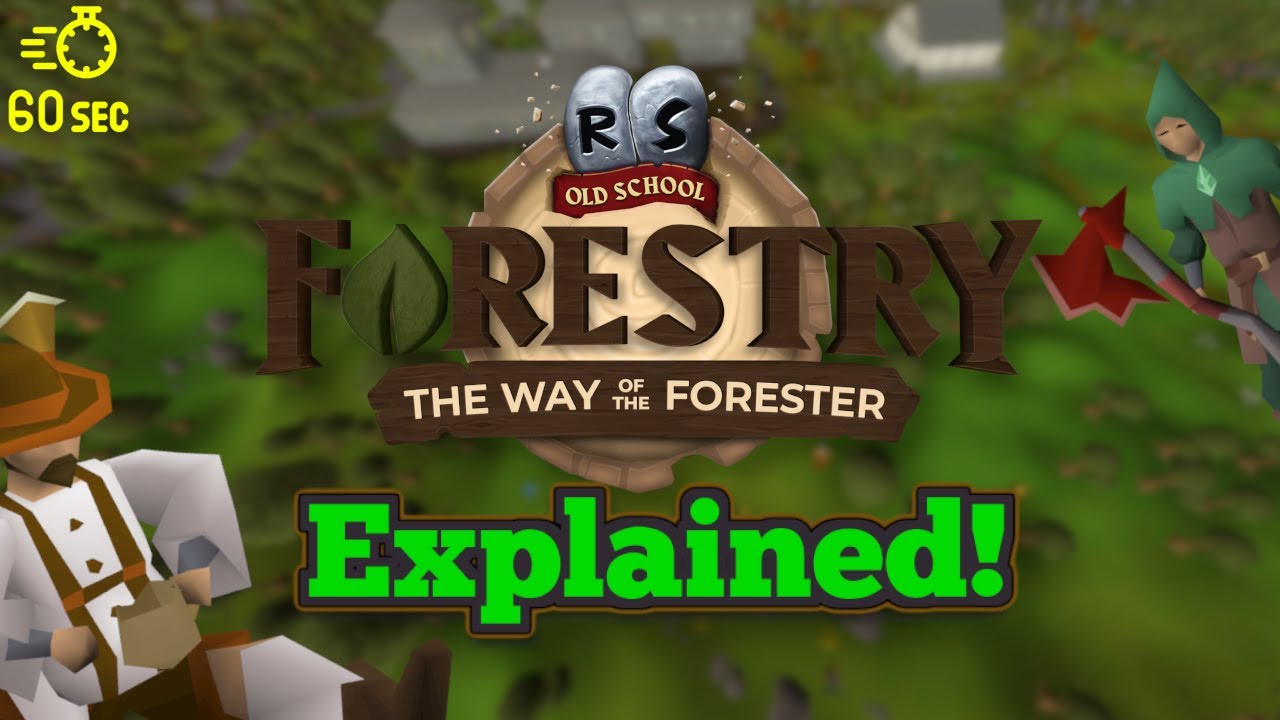 Forestry Explained in 60 Seconds! - YouTube