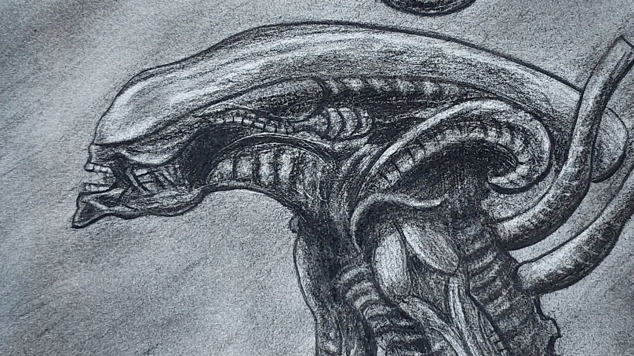 How I draw a xenomorph with charcoal - YouTube