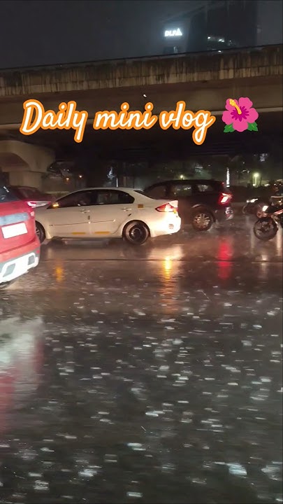 Daily mini vlog 🌺💐 #minivlog #dailyvlog #dailyshorts #viral #trendingshorts #shorts #newshorts ...