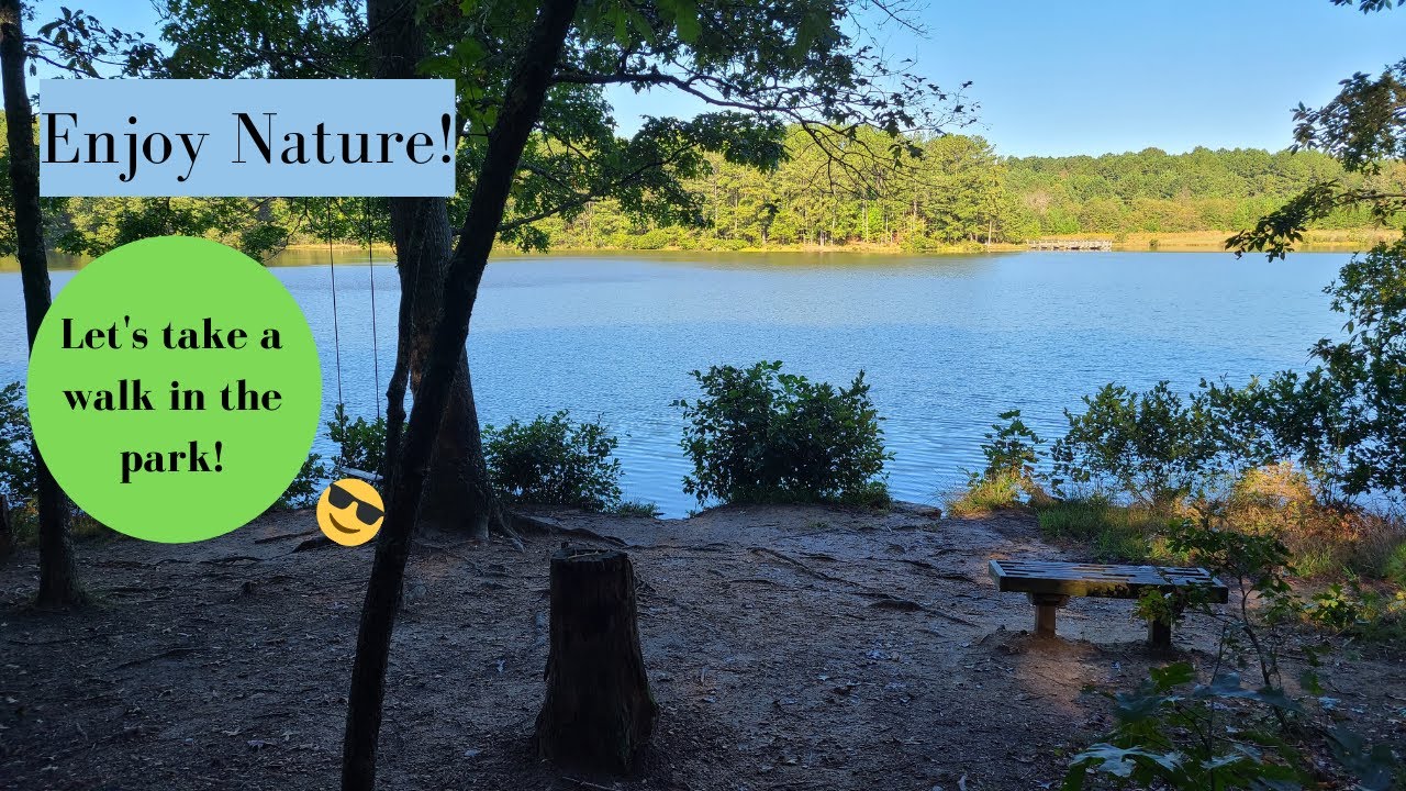 Beautiful walk through the Park - YouTube