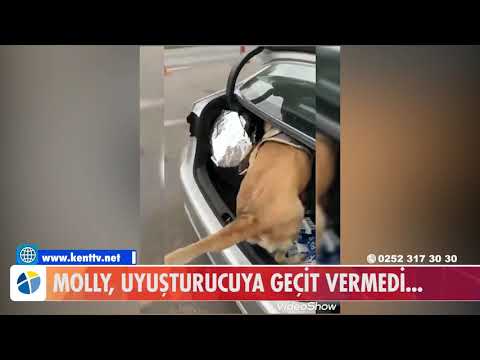 MOLLY, UYUŞTURUCUYA GEÇİT VERMEDİ