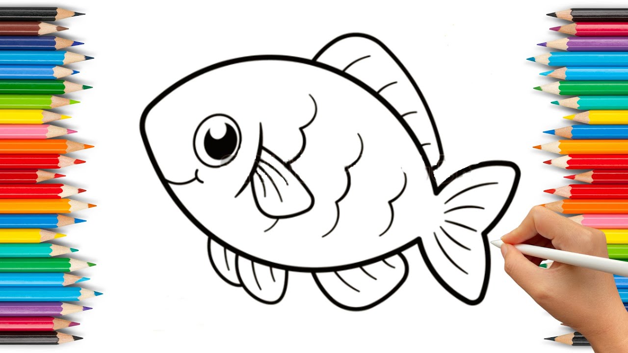 Fish drawing easy step by step | Fish drawing and colouring | how to ...