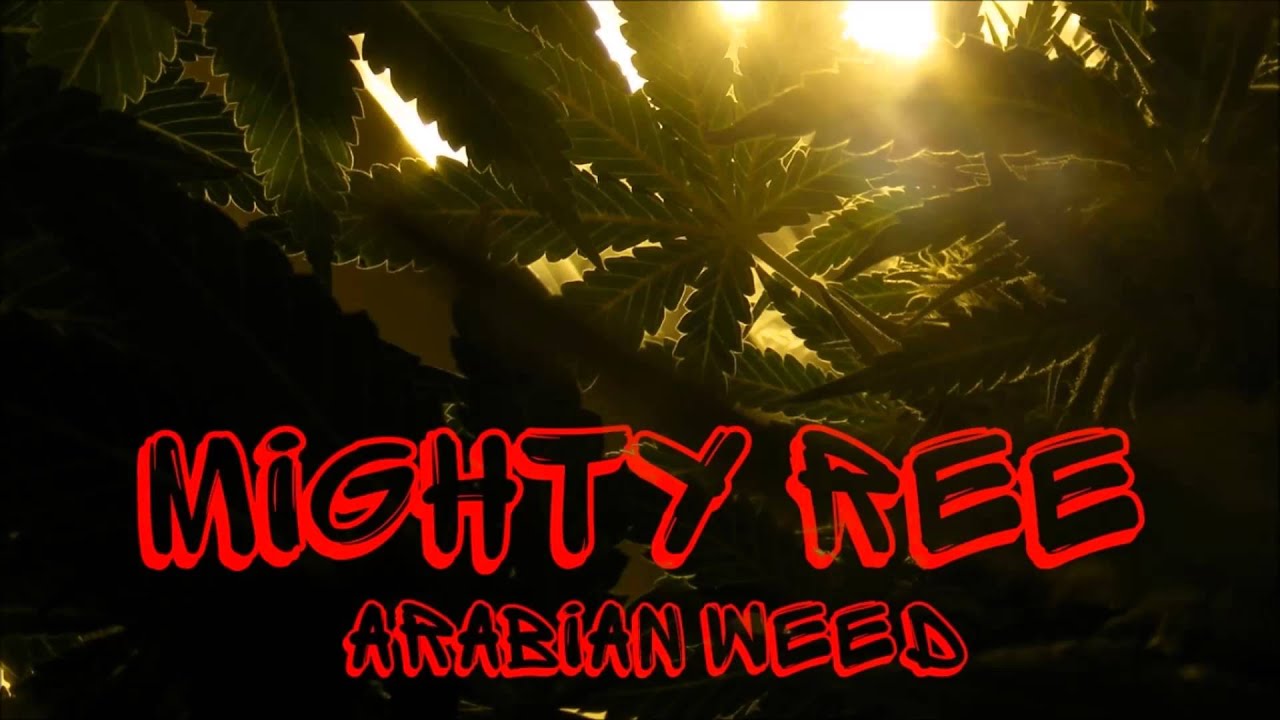 Mighty Ree - Arabian Weed - YouTube