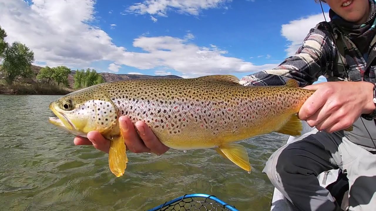 Spring fly fishing - YouTube