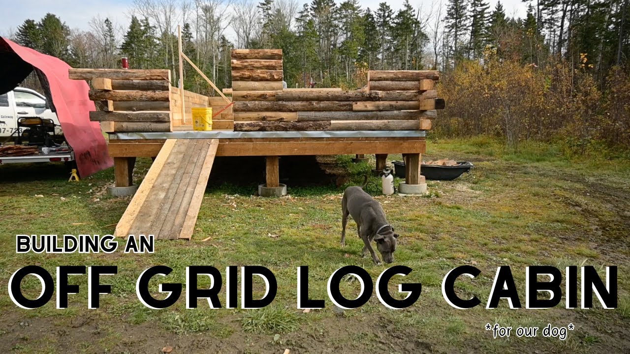 Building an Off Grid D-Styled Log Cabin in Northern Maine: More Wall ...