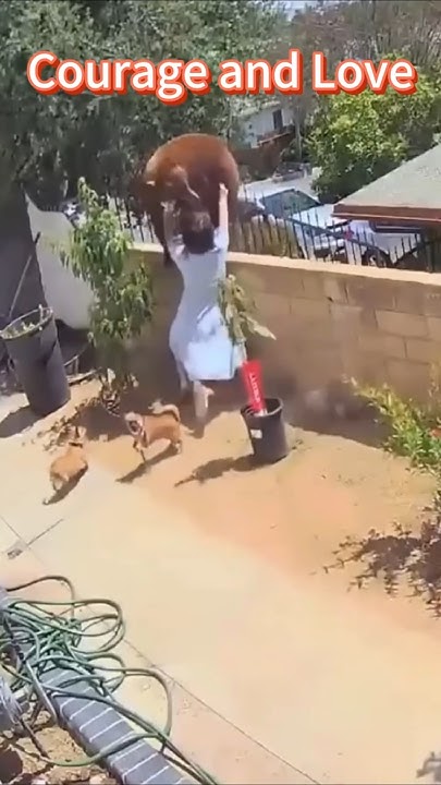 Her courage is admirable - YouTube