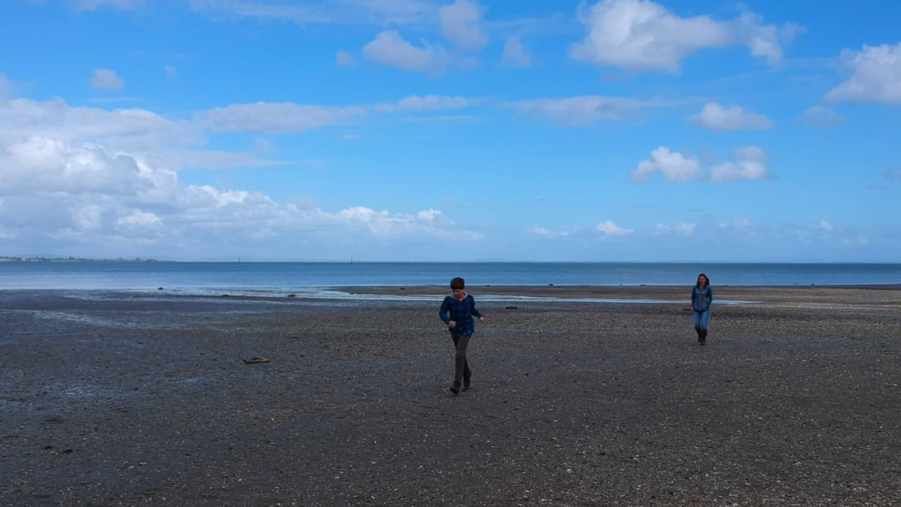 French Bay Auckland - YouTube