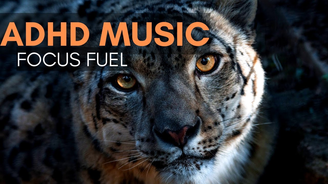 ADHD Music to Improve Focus and Concentration Vol. 3 [1 HOUR🚫NO ADS ...