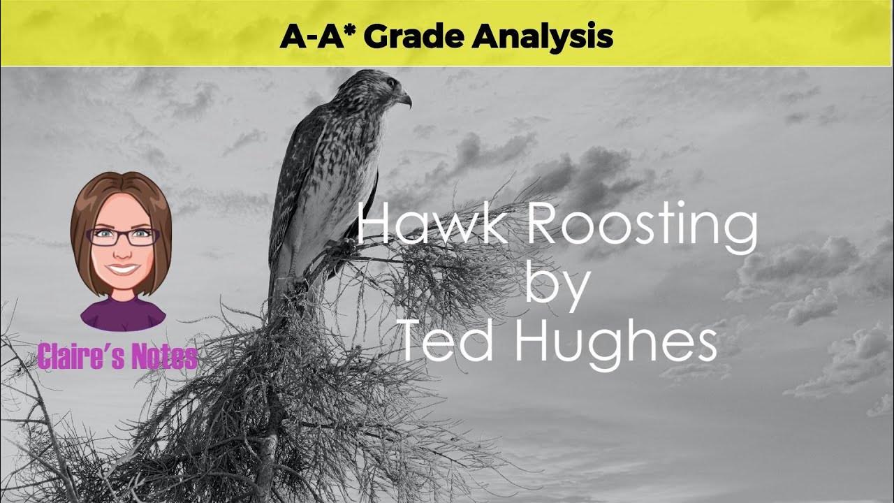 Hawk Roosting by Ted Hughes (detailed analysis) - YouTube