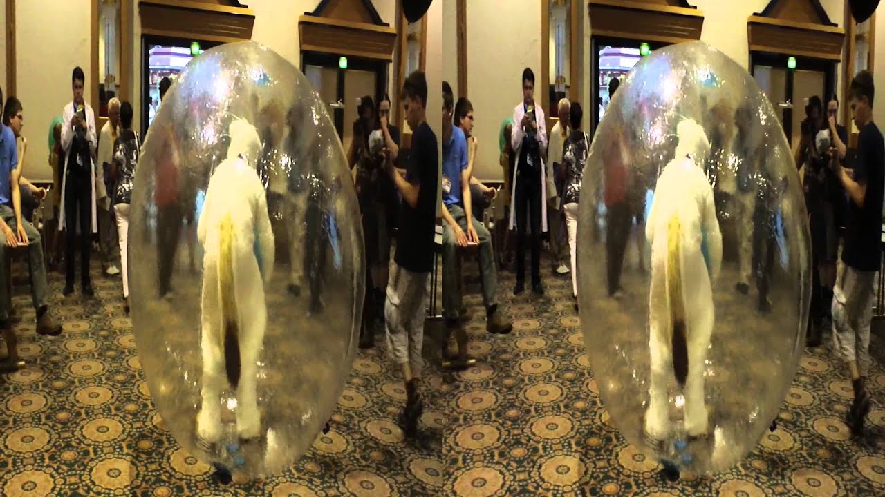 Eurofurence 19 big ball 1 - YouTube