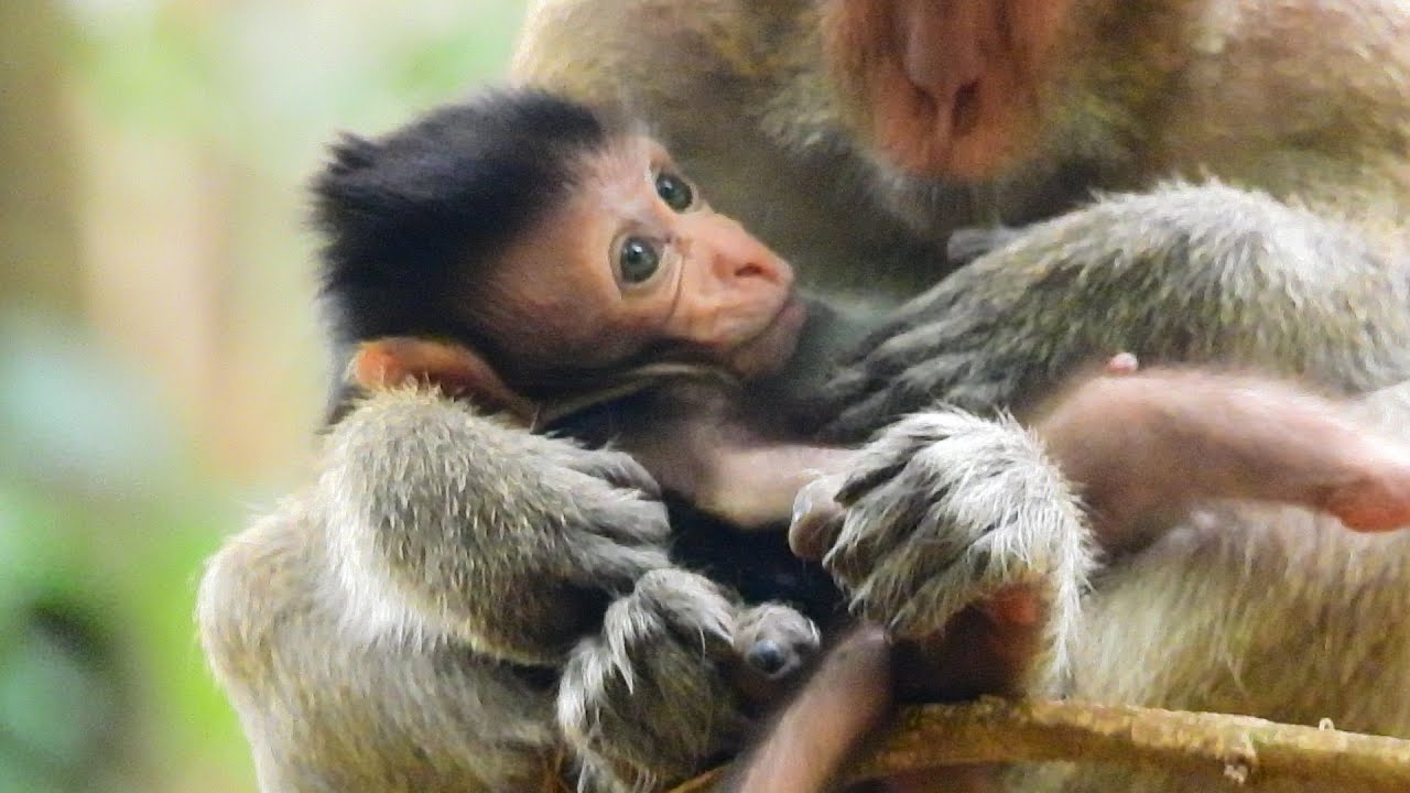 AMAYA BABY VERY LOVELY GOT HOLD AND FULL OF LOVE FROM MAMA APRIL ON THE ...