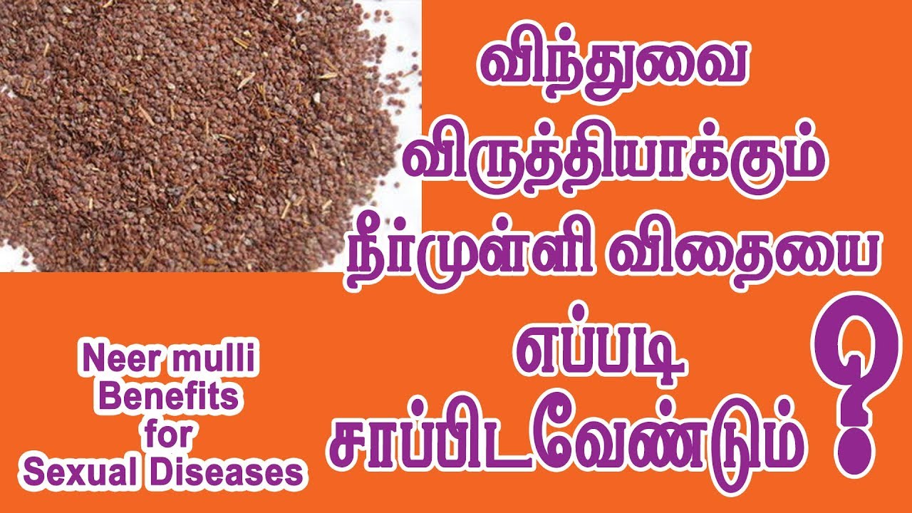 நீர் முள்ளி விதை எப்படி சாப்பிட வேண்டும்? How to Eat Neermulli ...