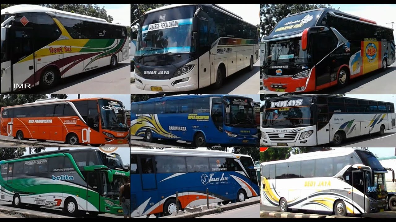 BUS PANTURA ANTAR PROPINSI Bus Trans Jaya bus luxury bus dedy jaya ...