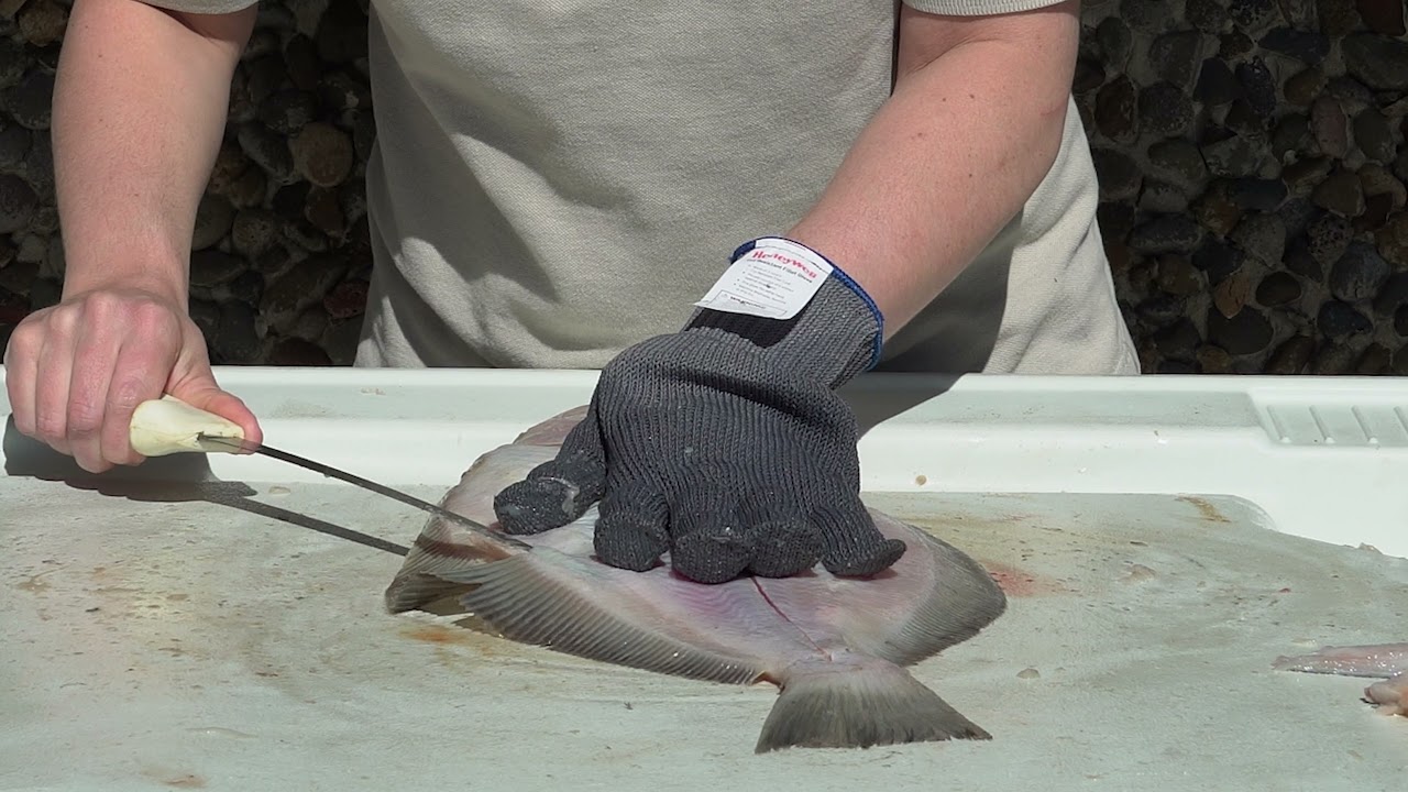 How to filet petrale sole fish - YouTube