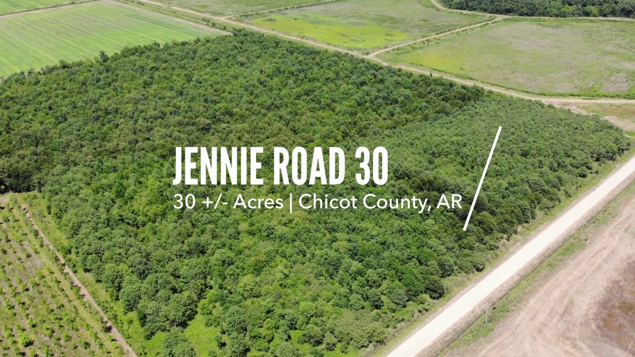Jennie Road 30 - YouTube