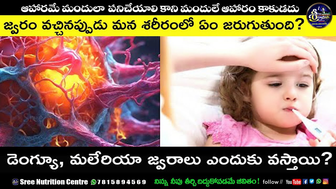 What is Fever ? Why Do We Get a Fever // SreeKrishna Boini // Sree Nc ...