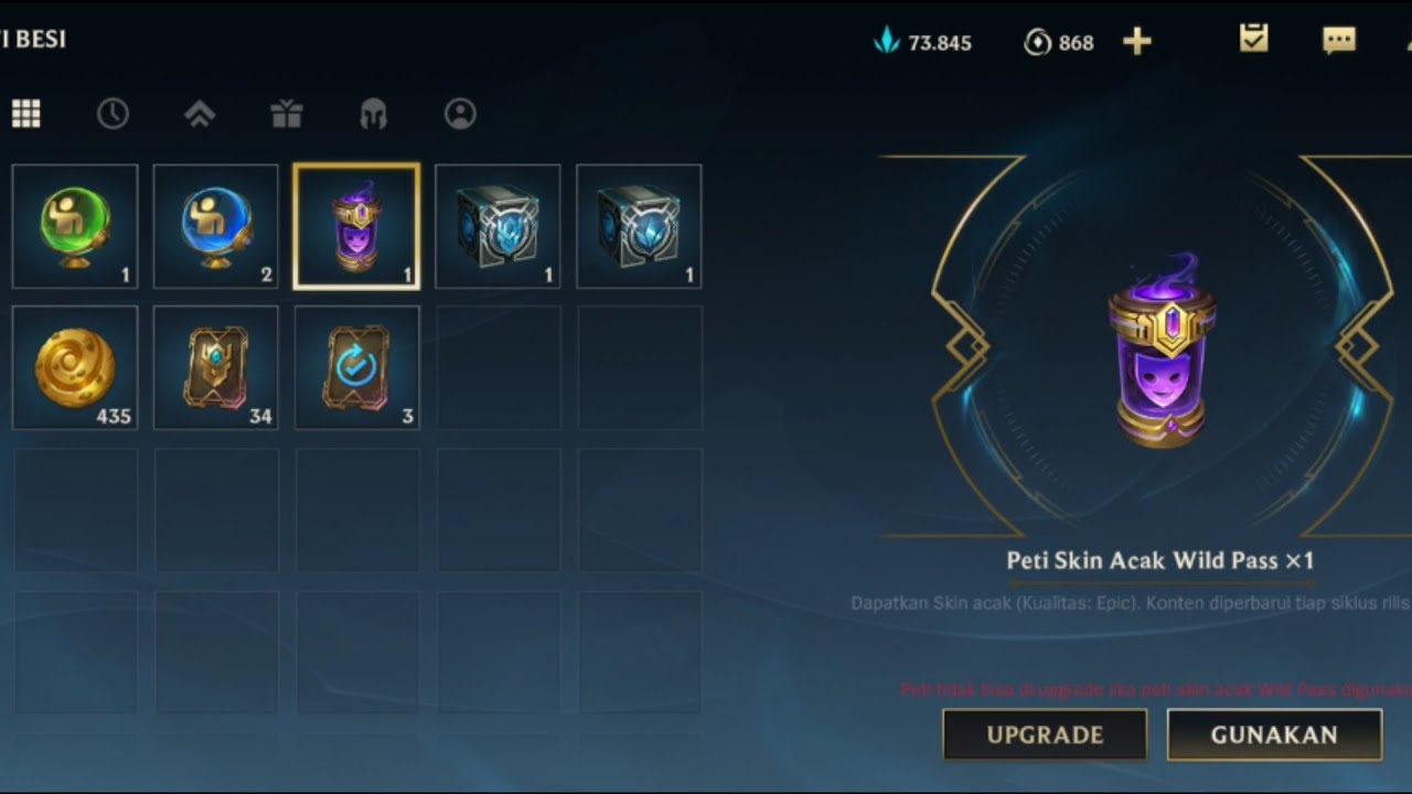 Open Wild Pass Random Skin Chest Season 9 || League Of Legends Wild ...