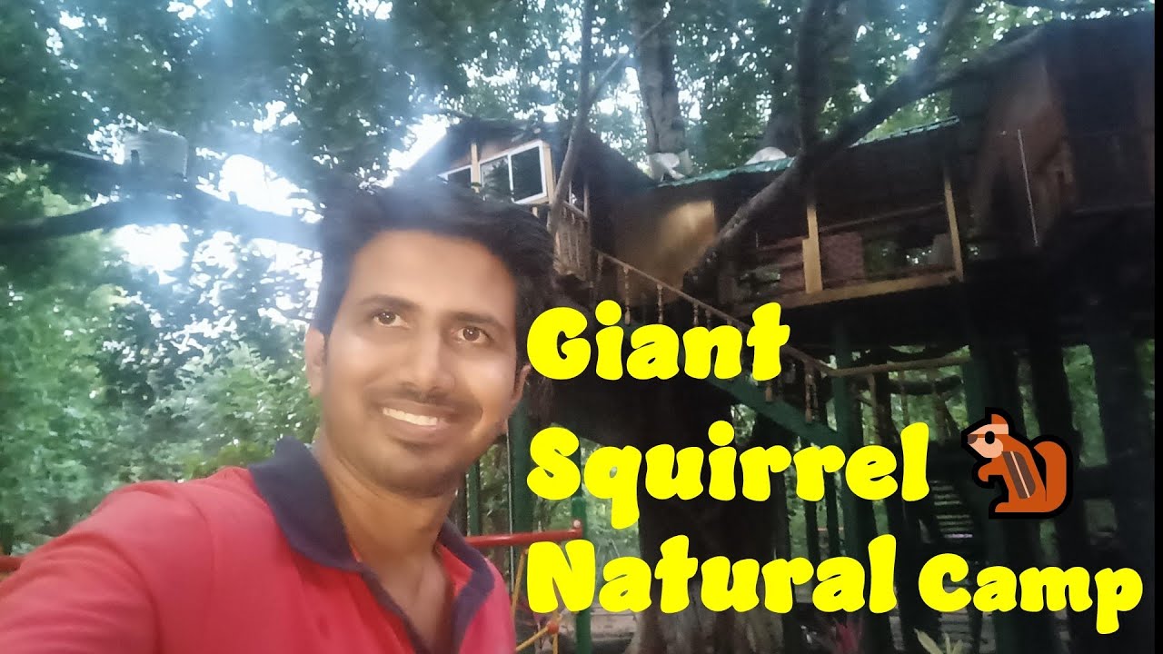GIANT SQUIRREL NATURAL CAMP l TREE HOUSE I NATURAL CAMP I KALIAMBA I ...