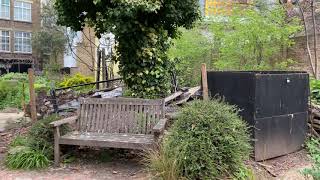 A Tour of The Phoenix Garden