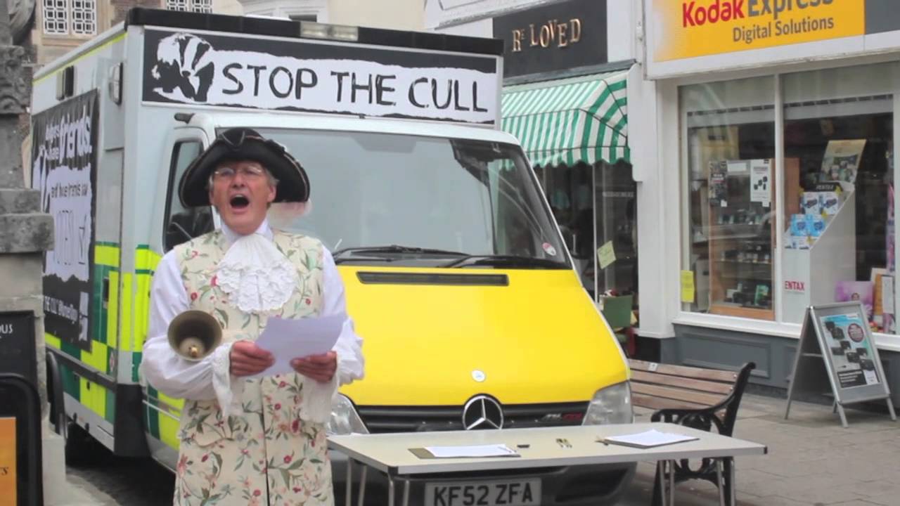 Badger Cry - YouTube