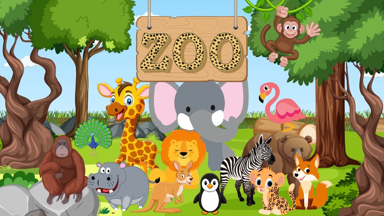 Meet the Zoo Animals | Fun Learning for Kids - YouTube