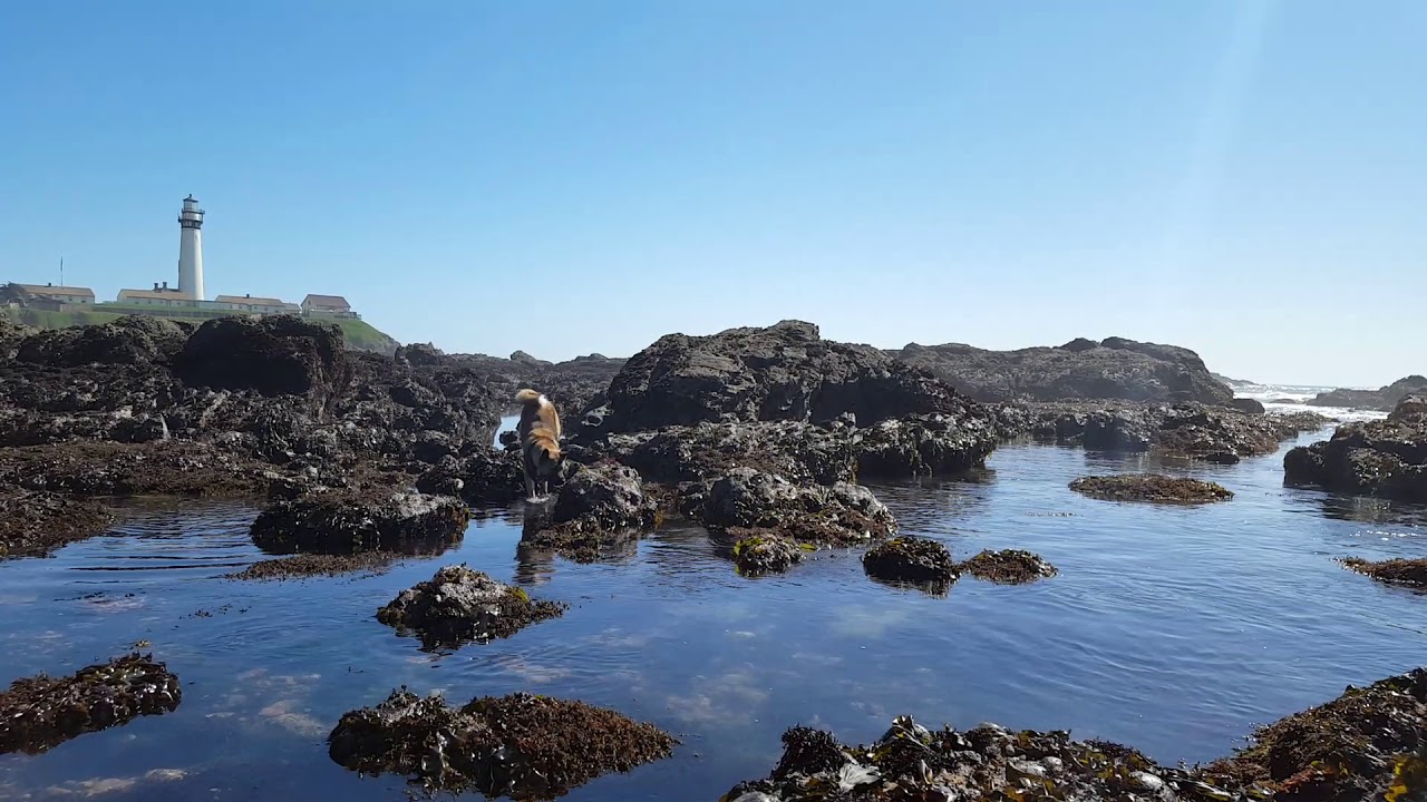 Pigeon Point - YouTube