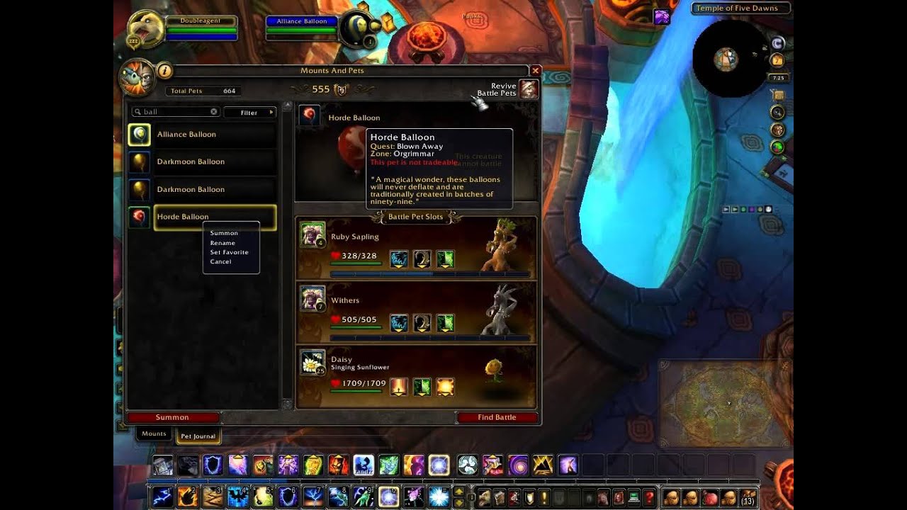 Neutral Pets @ Wandering Isle (Neutral Pandaren) - YouTube
