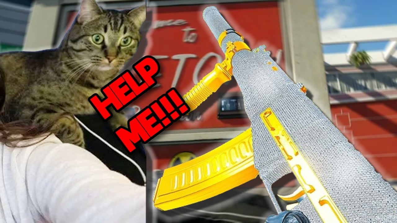 I Became A Kitty Streamer #1 Movement Warzone Console Player - YouTube