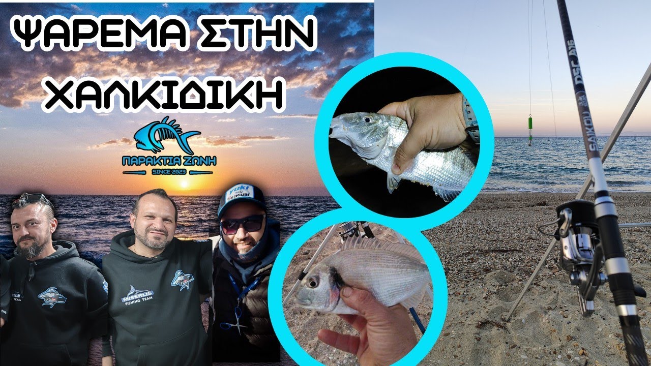 ΨΑΡΕΜΑ ΣΤΗ ΧΑΛΚΙΔΙΚΗ ΚΡΥΟΠΗΓΗ - YouTube