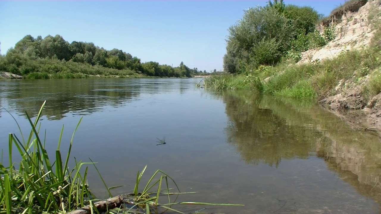 No Copyright Video , Beautiful river - YouTube