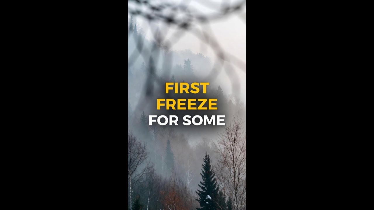 Freezing temps coming to North Texas - YouTube