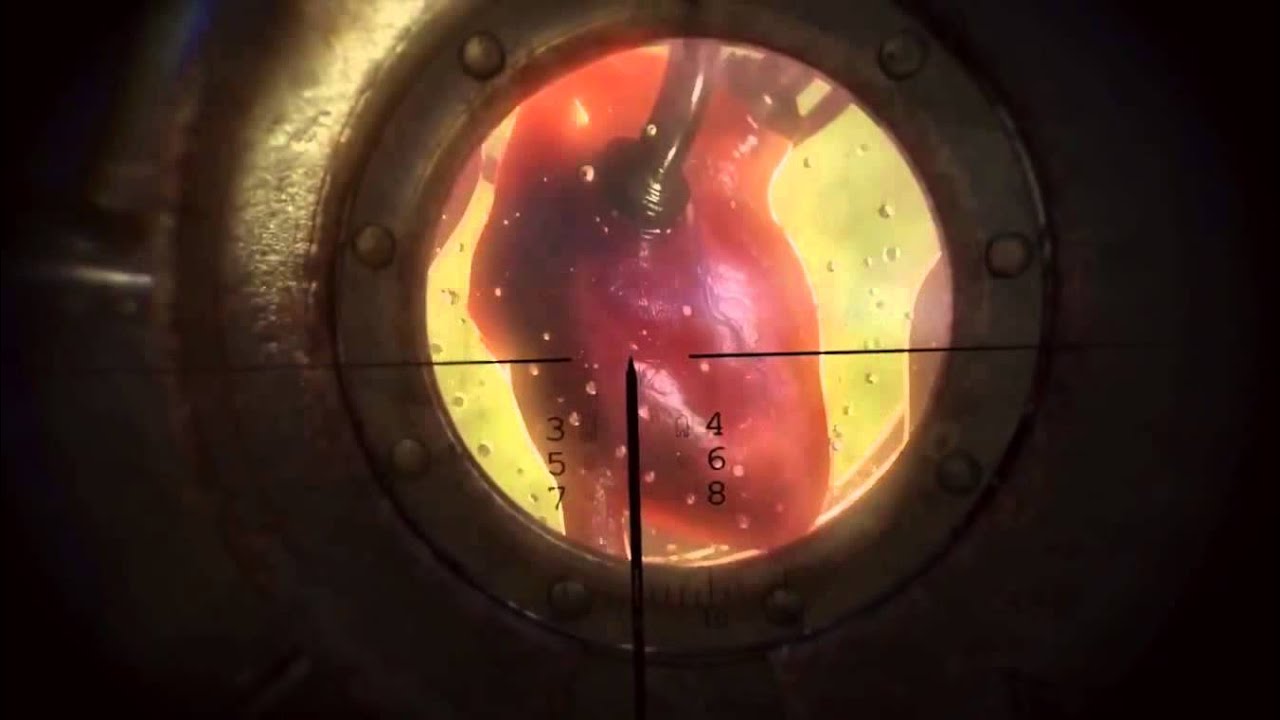 Bioshock Infinite Steam Beta Keys - YouTube