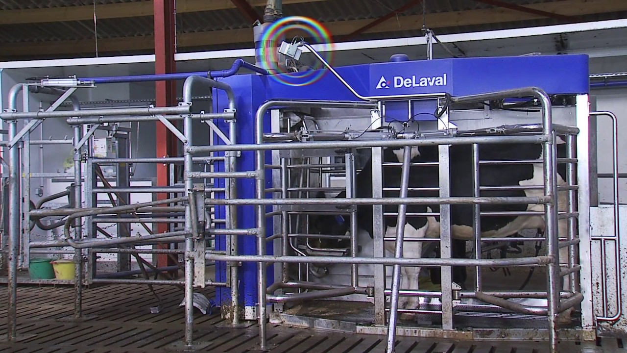 Caméra BCS DeLaval - YouTube