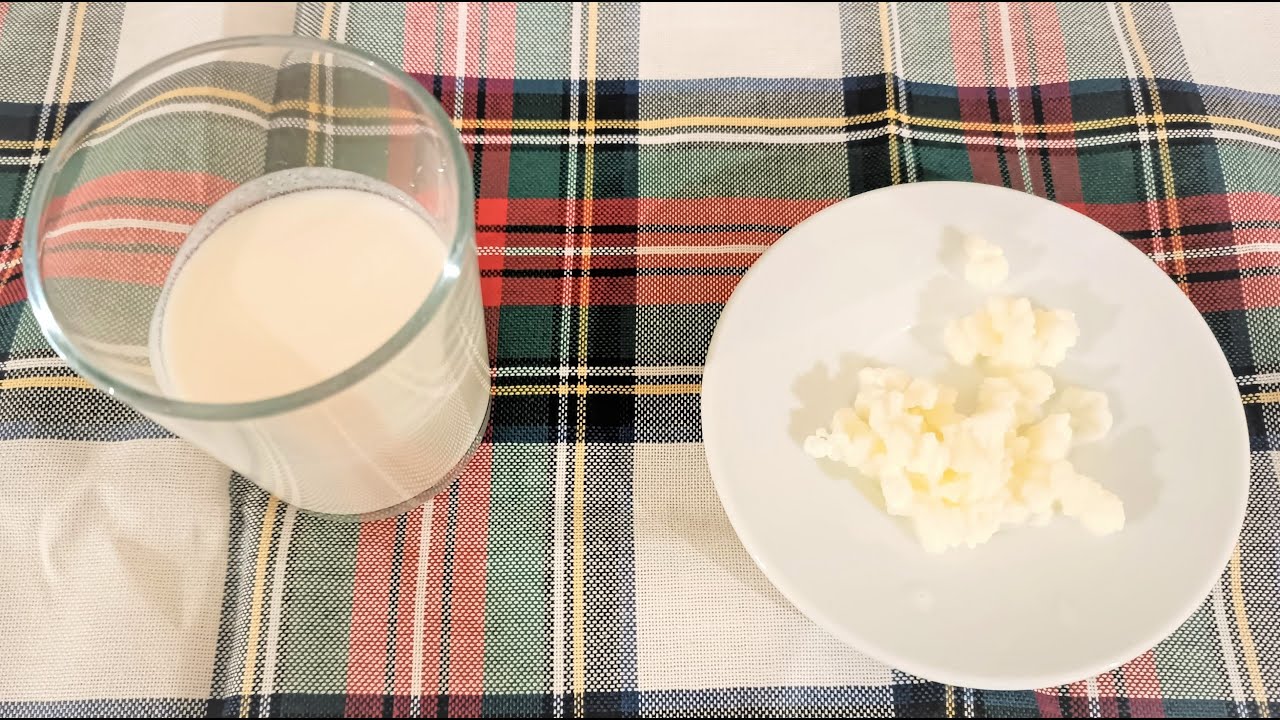 Kefir, come si fa spiegato in modo semplice - Sfatiamo i falsi miti ...
