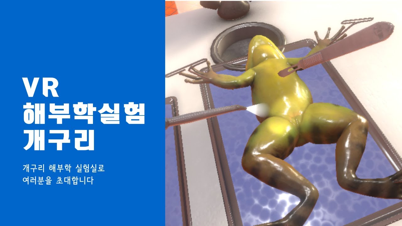SherpaXR 교육용앱 컨텐츠 Dissection Simulator: Frog Edition(해부시뮬레이터 : 개구리에디션) - YouTube