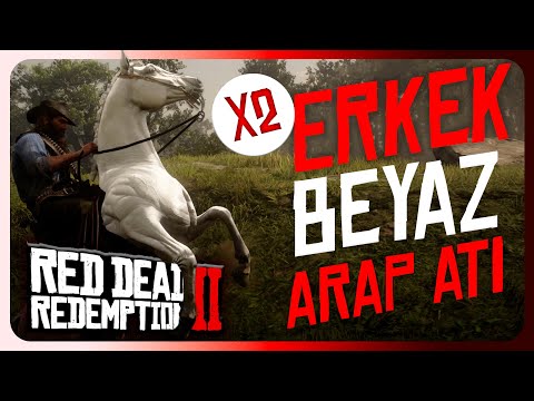 RDR2, 2. Beyaz Erkek Arap Atı Konumu! Nerede Bulunur? Nasıl Yakalanır? Tüm Detaylar!