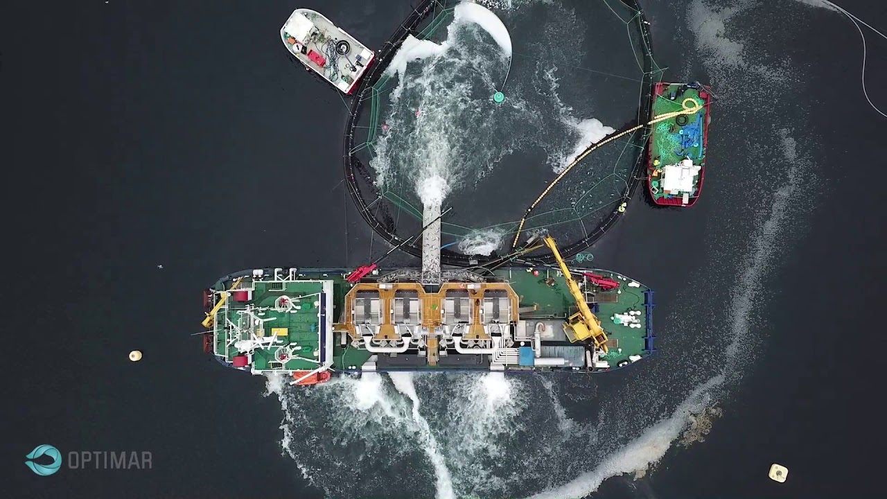 Optimar Fish Welfare Overview Movie - YouTube