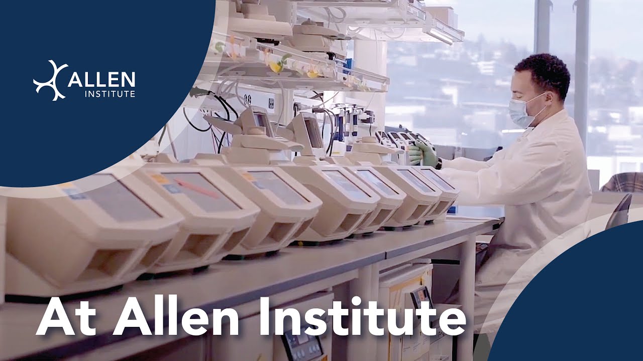At Allen Institute - YouTube