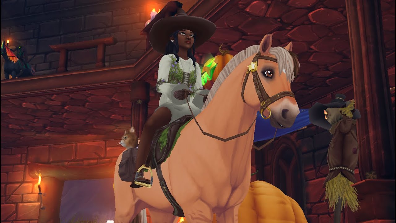 SSO LIVE: Training + come and chat! - YouTube