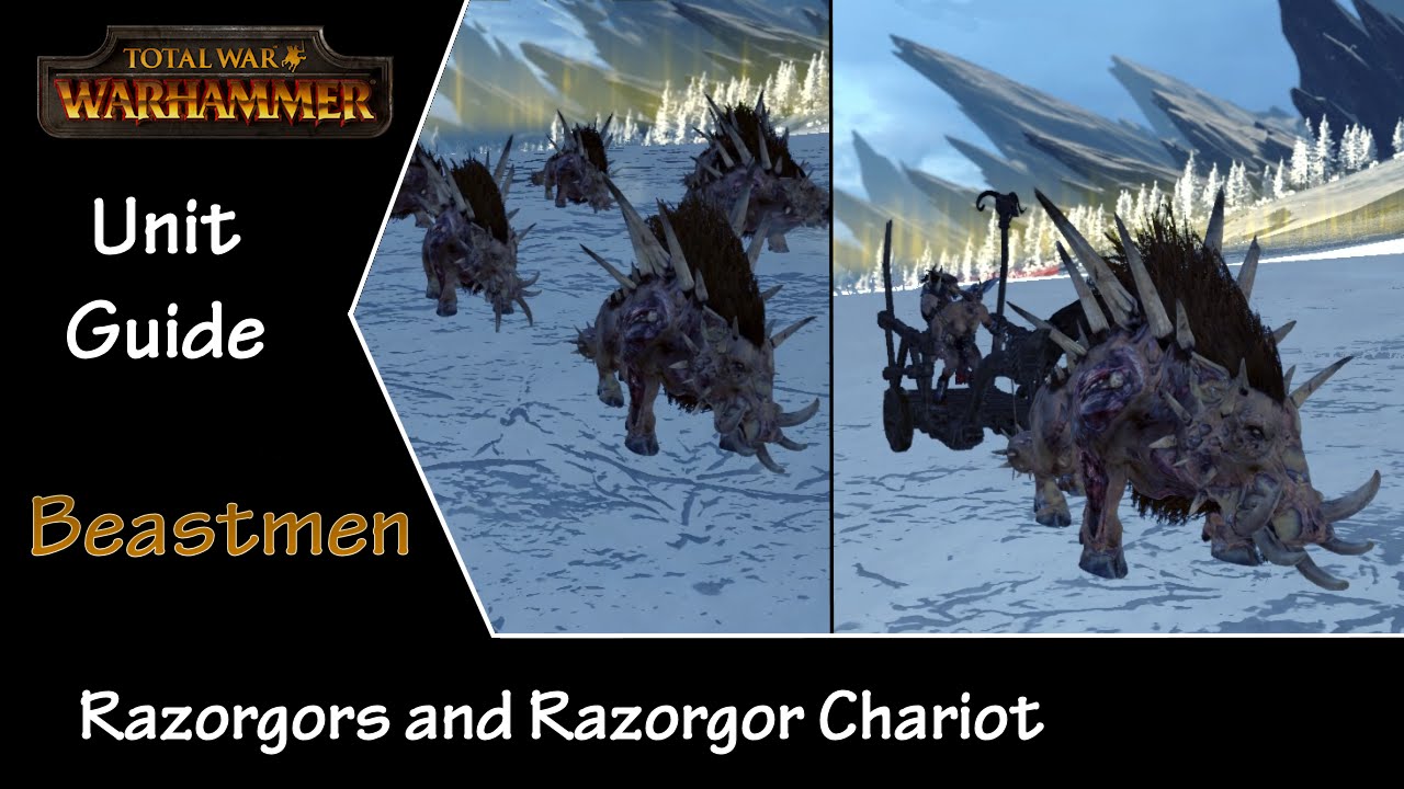 Total War: Warhammer Unit Guide - Beastmen - Razorgor Herd and Chariot ...