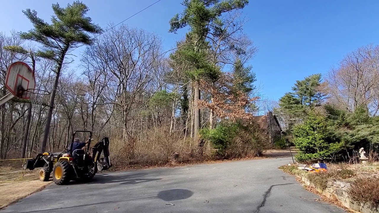 Nate-tree_03-18-2020 - YouTube