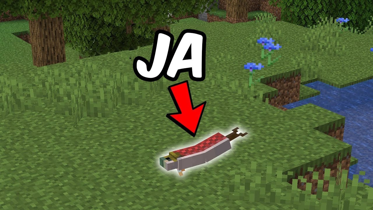 POSTAO SAM RIBA U MINECRAFT! - YouTube