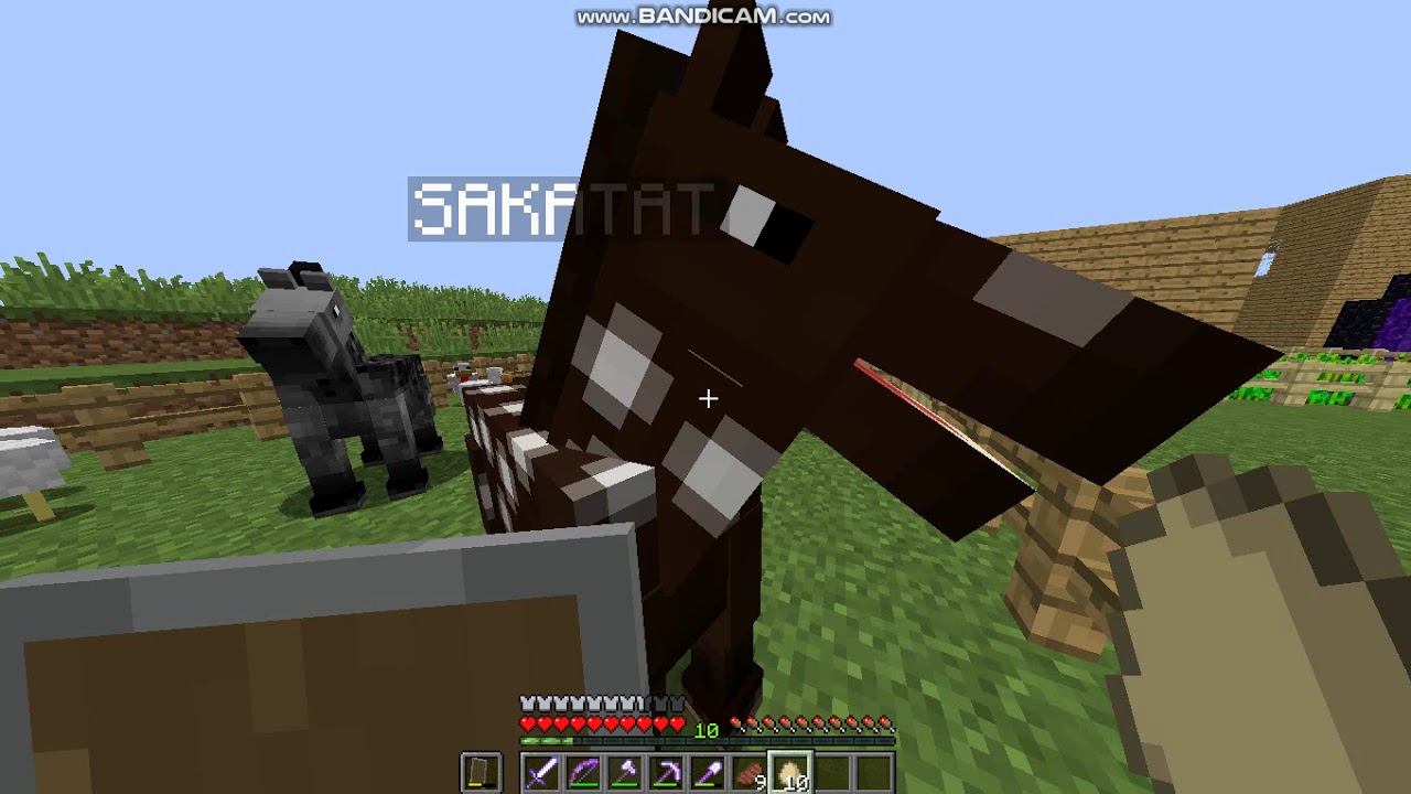 MİNECRAFT ZOMBİ DOMUZ ADAMLARLA SAVAŞTIM !!!! - YouTube